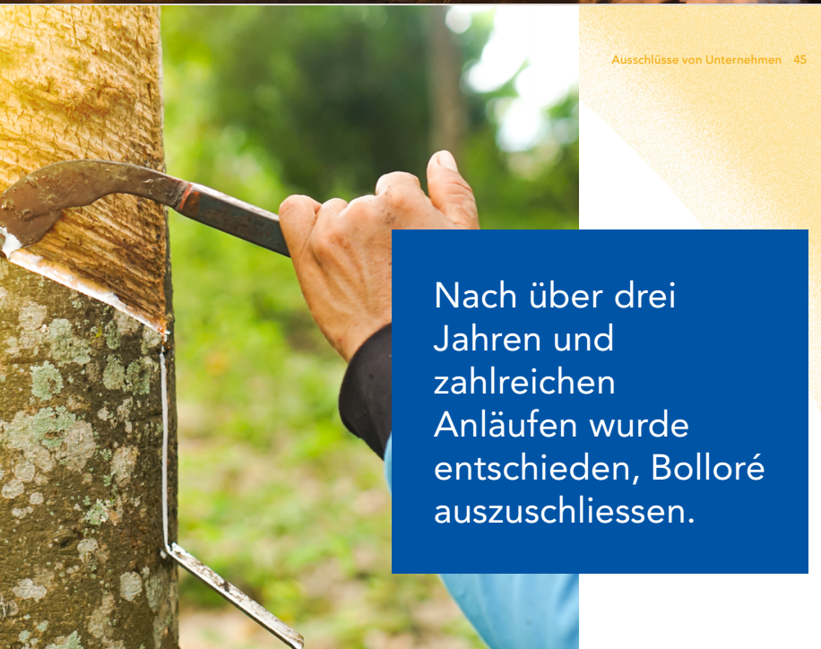 farmlandgrab.org | The BVK is committed 2024: Human rights are not ...