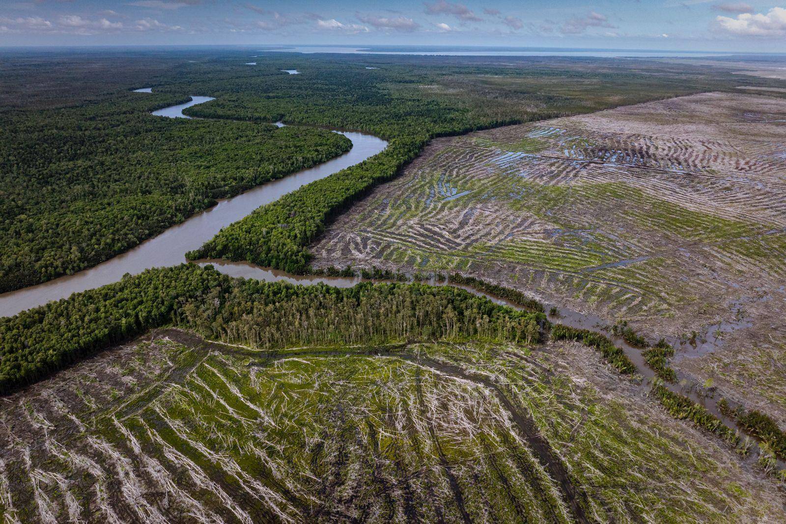 farmlandgrab.org | Strong condemnation of permit issuance to serve the ...